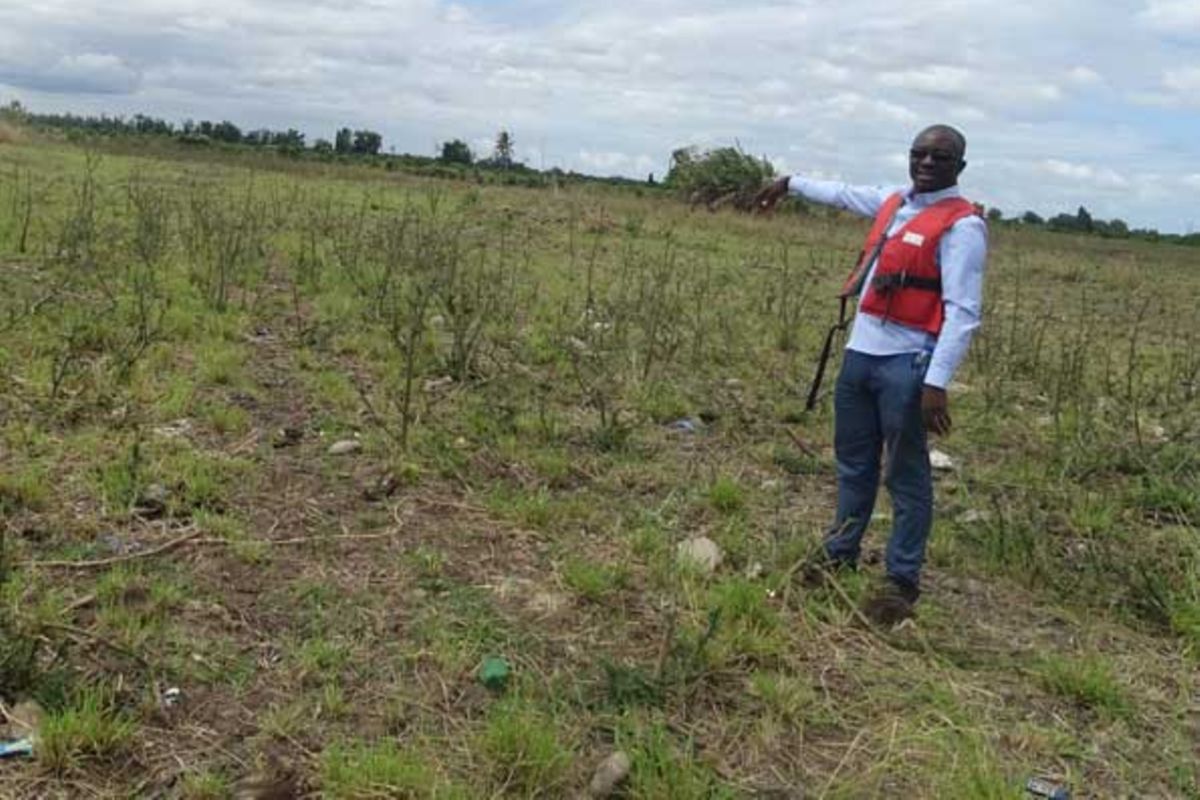 Endangered beauty of Rufiji Delta | The Citizen