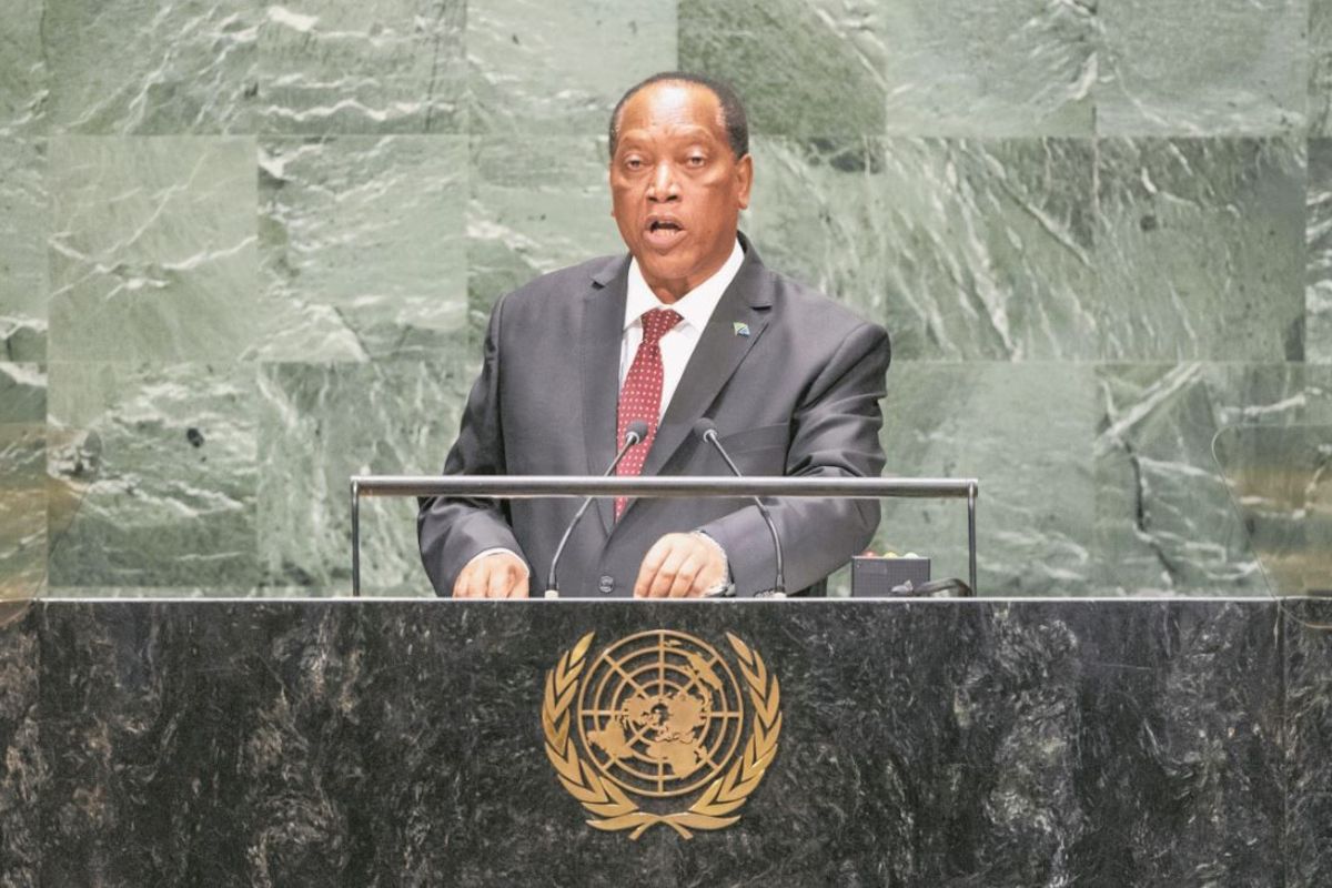 Kabudi in defence of Tanzania at UN | The Citizen