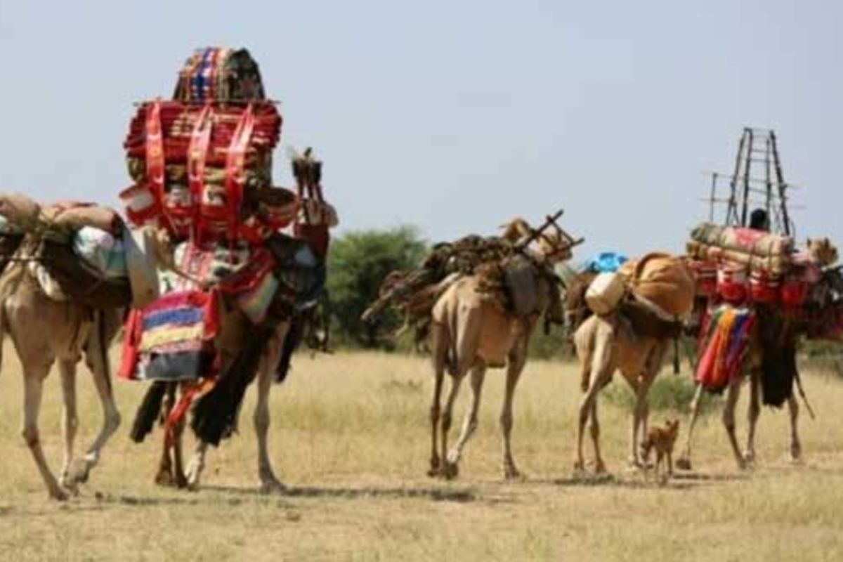 Years after militia raid, fear still grips Darfur village | The Citizen