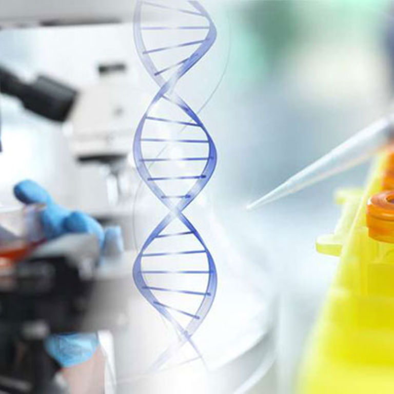 This is how DNA test is carried out - The Citizen