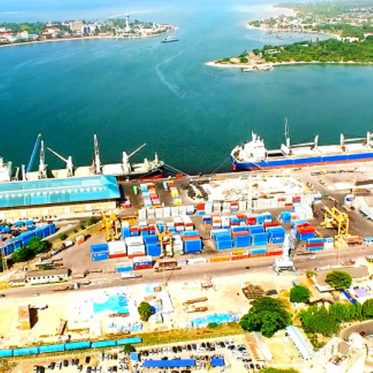 Clearing system at Dar es Salaam port hit by technical hitches - The ...