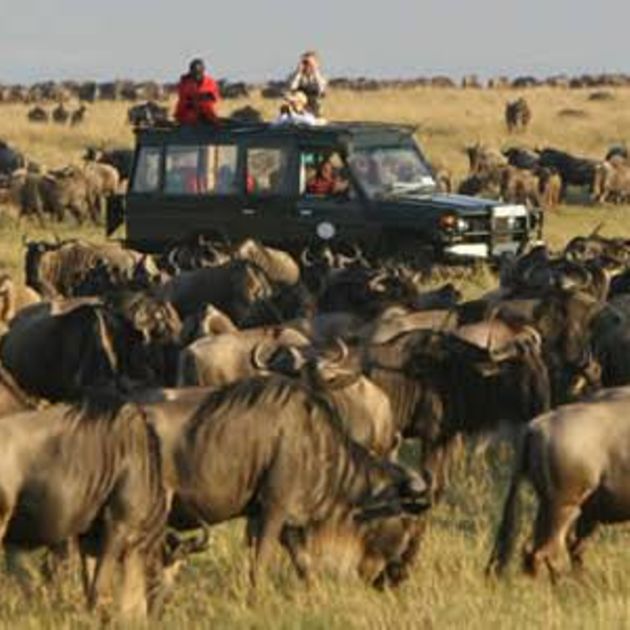 New Tanapa conservation commissioner seeks to elevate tourism sector ...