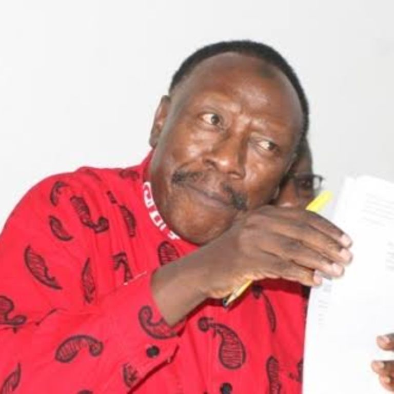 Prof Ibrahim Lipumba calls for political dialogue - The Citizen