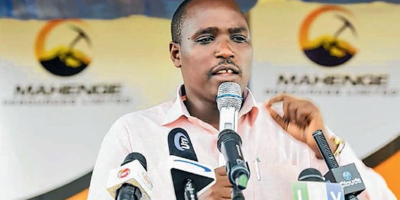 New hope over Mahenge mining deal | The Citizen