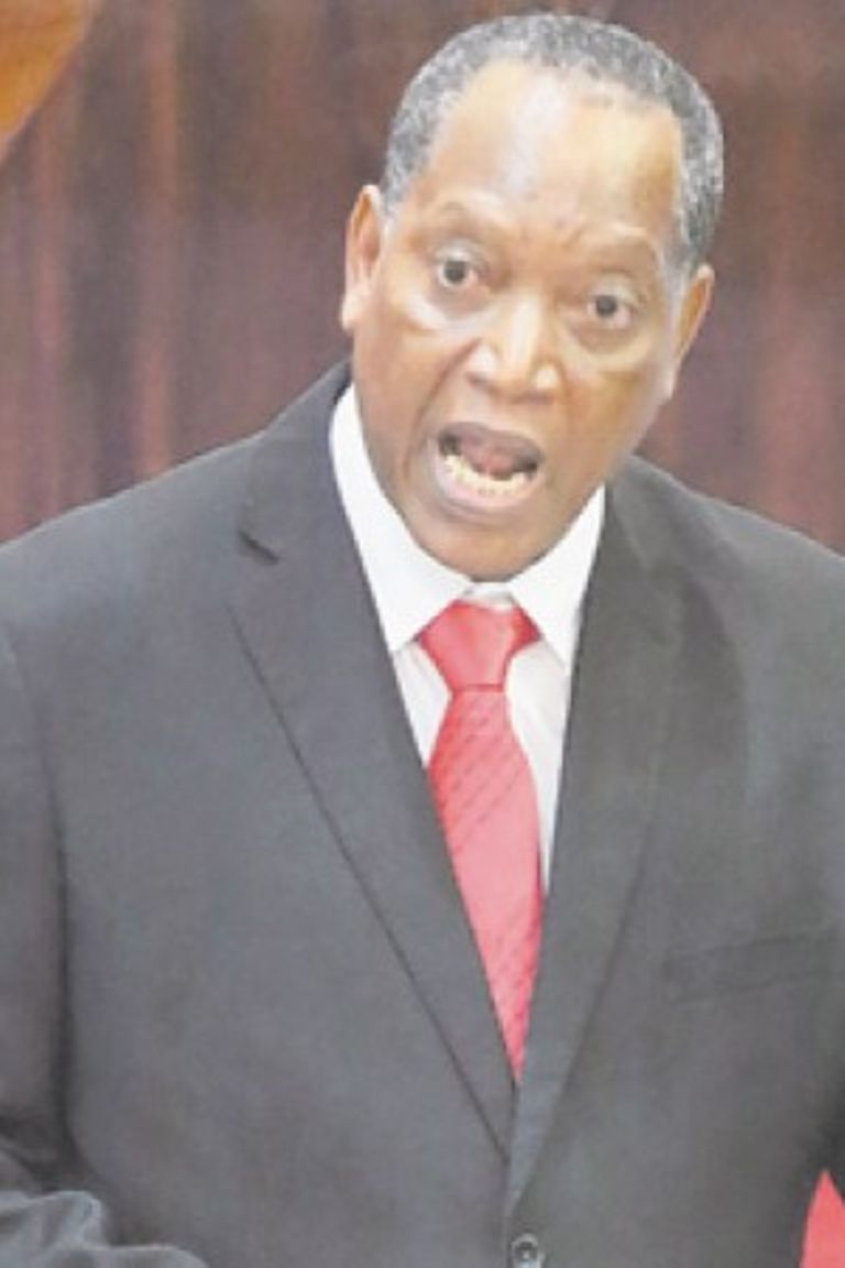 Prof Kabudi defends Tanzania's human rights record - The Citizen