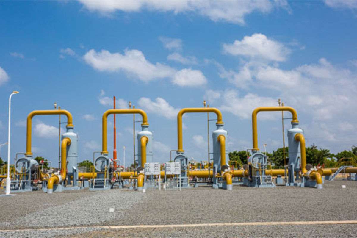 TPDC puts on hold compesation for 39 villagers | The Citizen