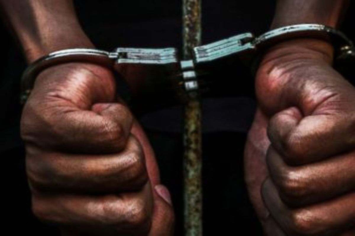 Poachers in Serengeti sentenced to 20 years in jail | The Citizen