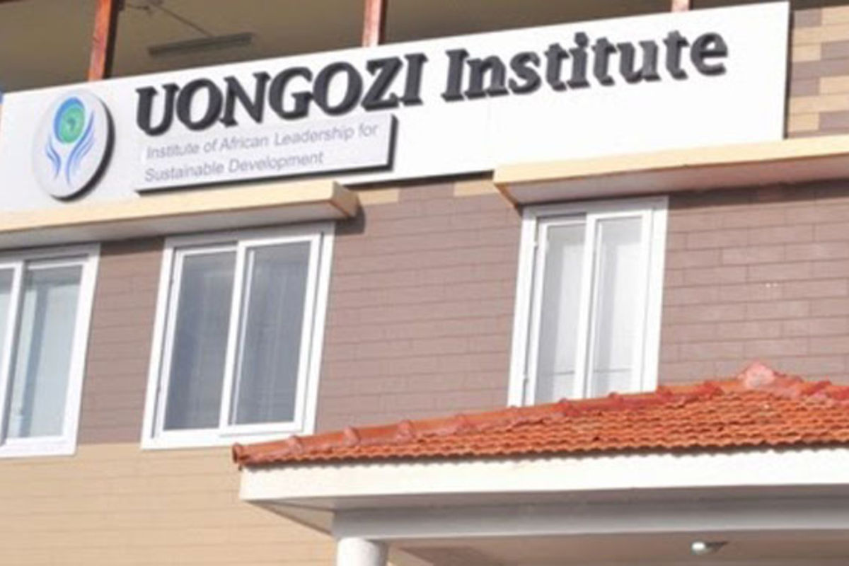 Uongozi Institute launches online leadership training program | The Citizen