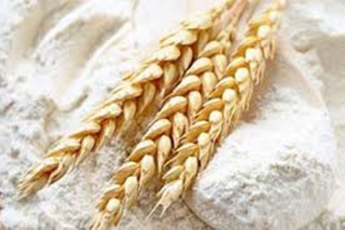 Bakhresa looks to increase wheat flour production | The Citizen