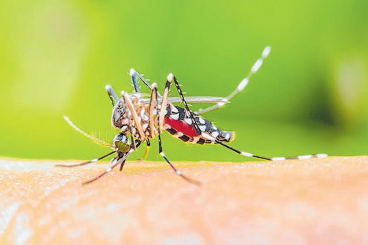 Where in the world will the next devastating epidemic break out? | The ...