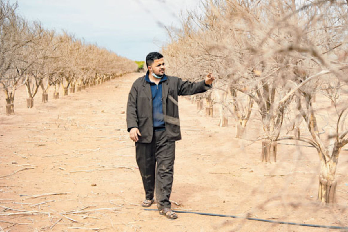 OPINION: Drought casts shadow over key Moroccan farming land | The Citizen