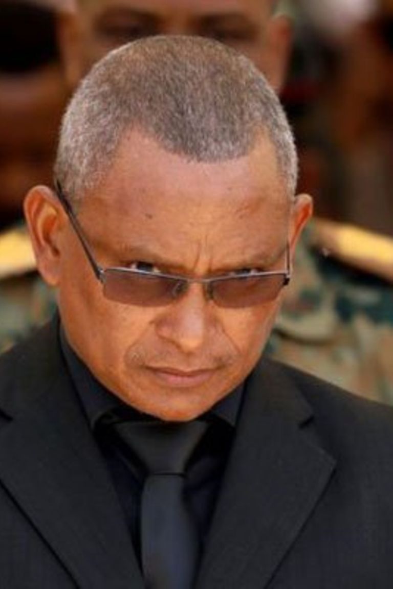 Tigray leader vows to fight on after Abiy declares victory - The Citizen