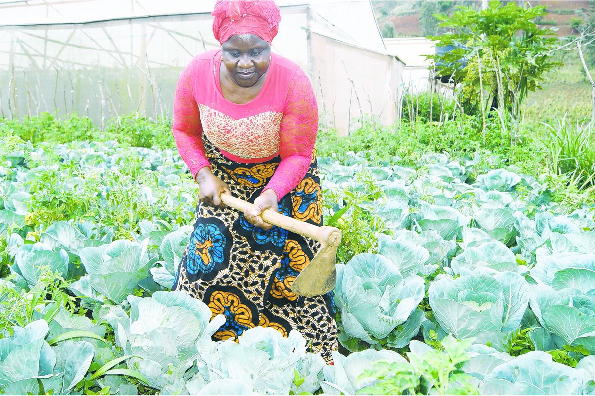 There is an urgent need for new African economist; here’s why | The Citizen