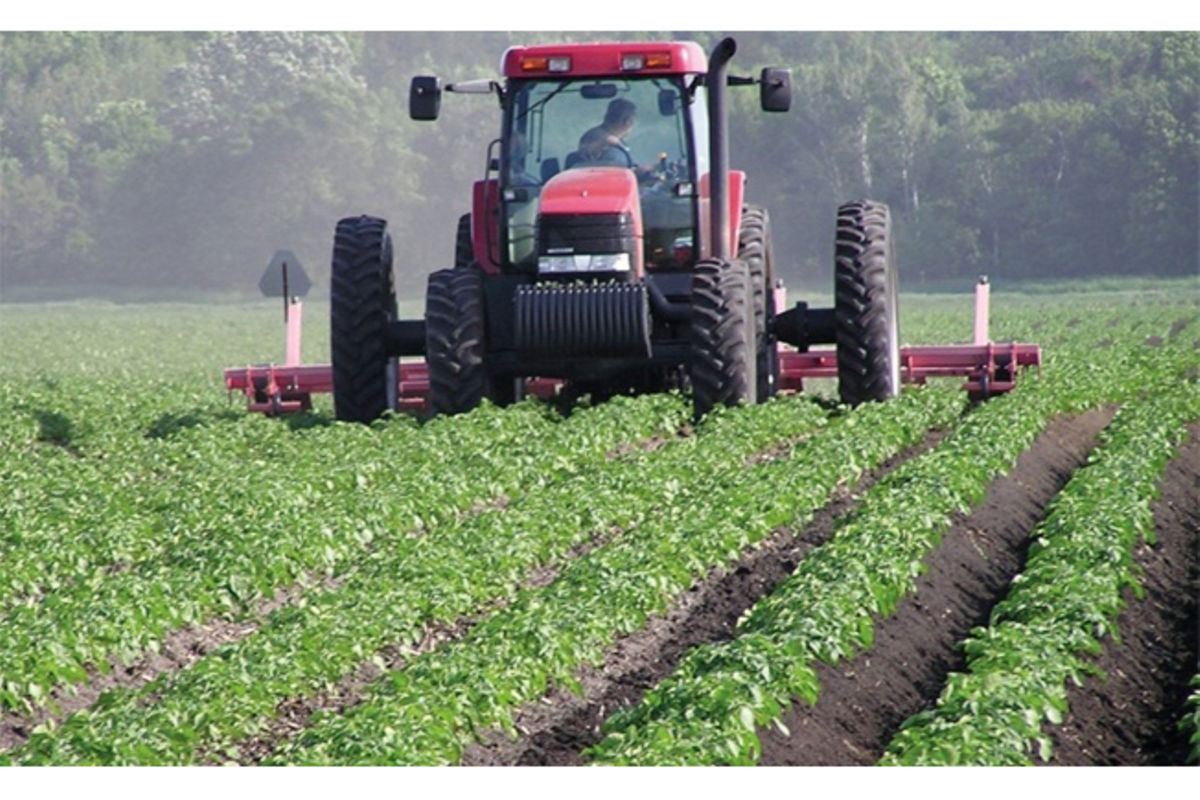 TADB gives loans worth Sh300bn to farmers | The Citizen