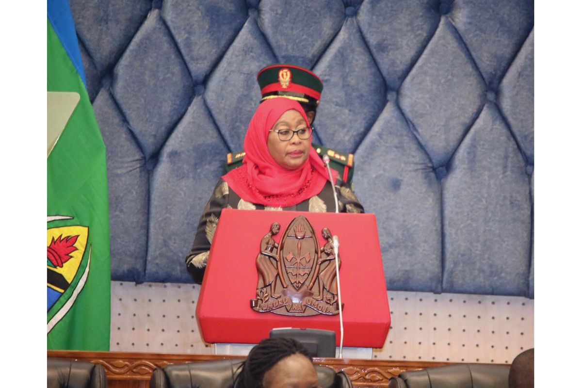 President Samia outlines priority areas in Agriculture, fisheries and ...