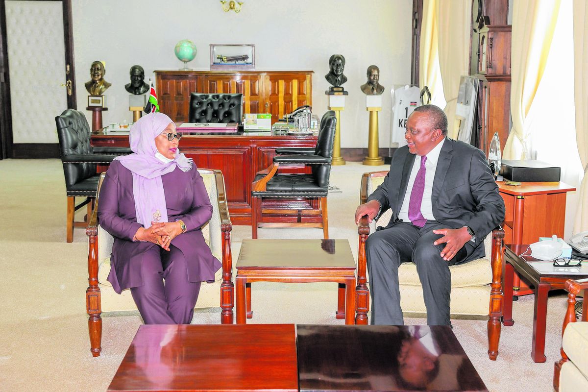 President Samia steps up Tanzania’s economic diplomacy agenda | The Citizen