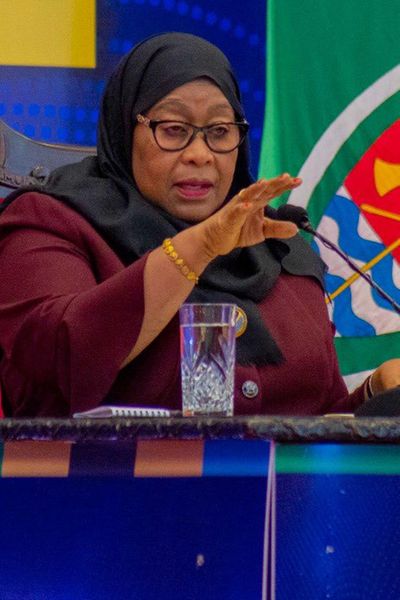 President Samia meets editors at State House - The Citizen