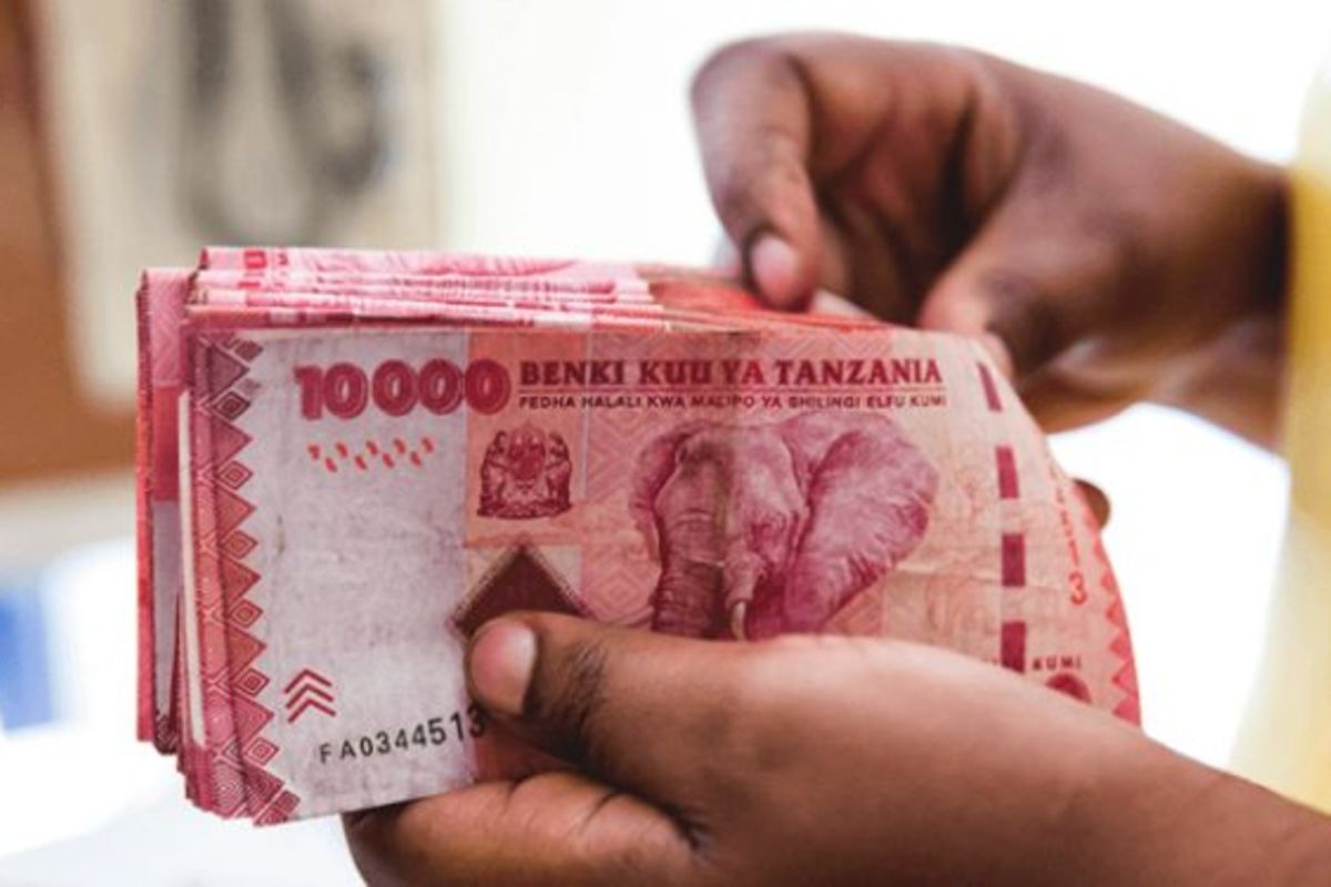 Why money supply in Tanzania has risen in recent months | The Citizen