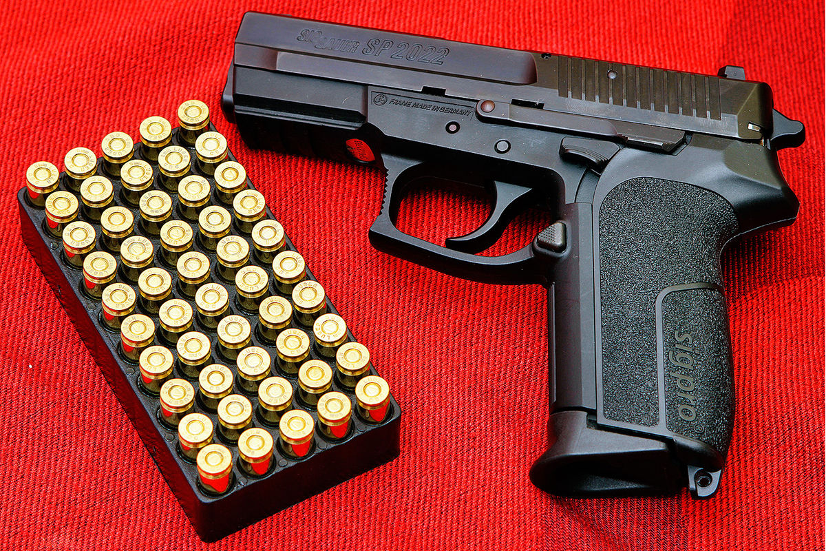 Dar RPC spells out the qualifications to own a gun | The Citizen