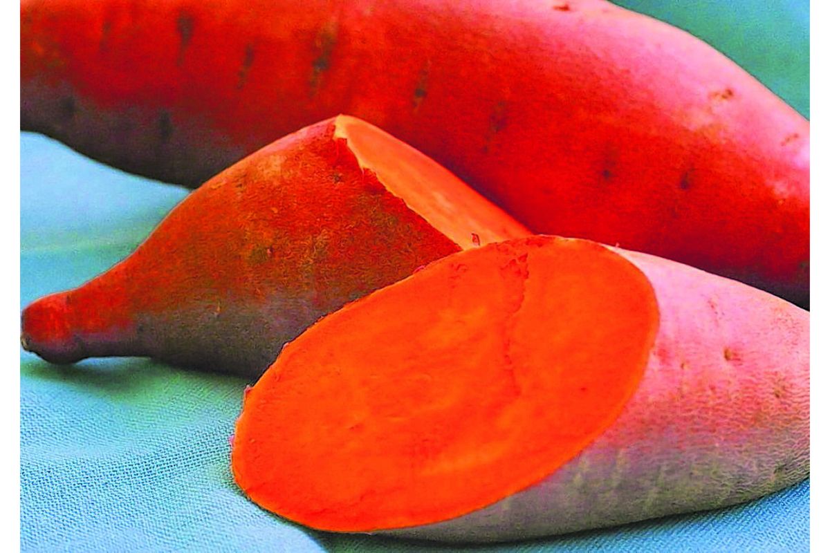 SMEs digest: The sky’s the limit for Imara Initiatives | The Citizen