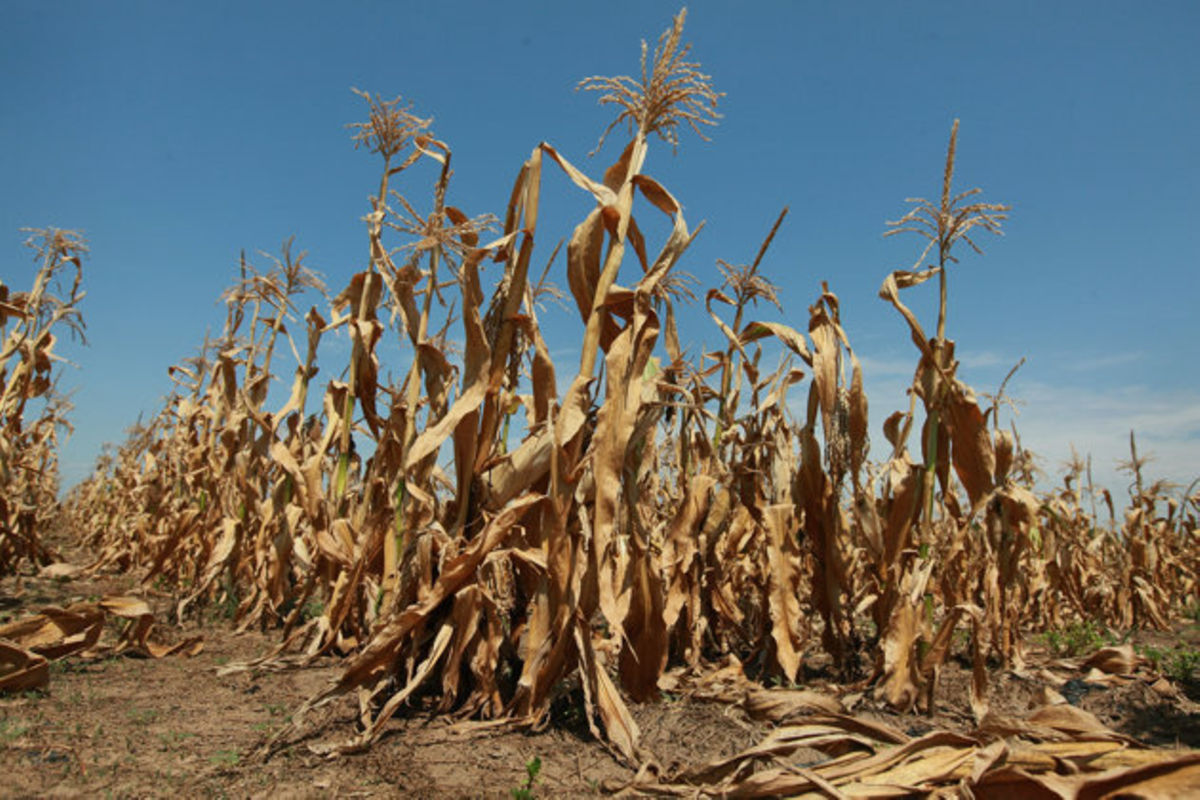 Kenya declares drought a national disaster | The Citizen