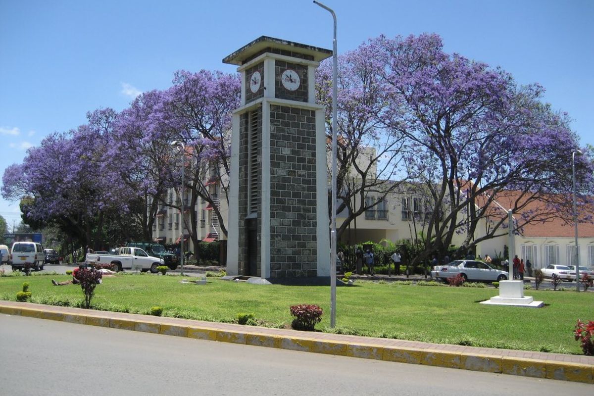 Reliving part of my personal Arusha Njiro experience | The Citizen