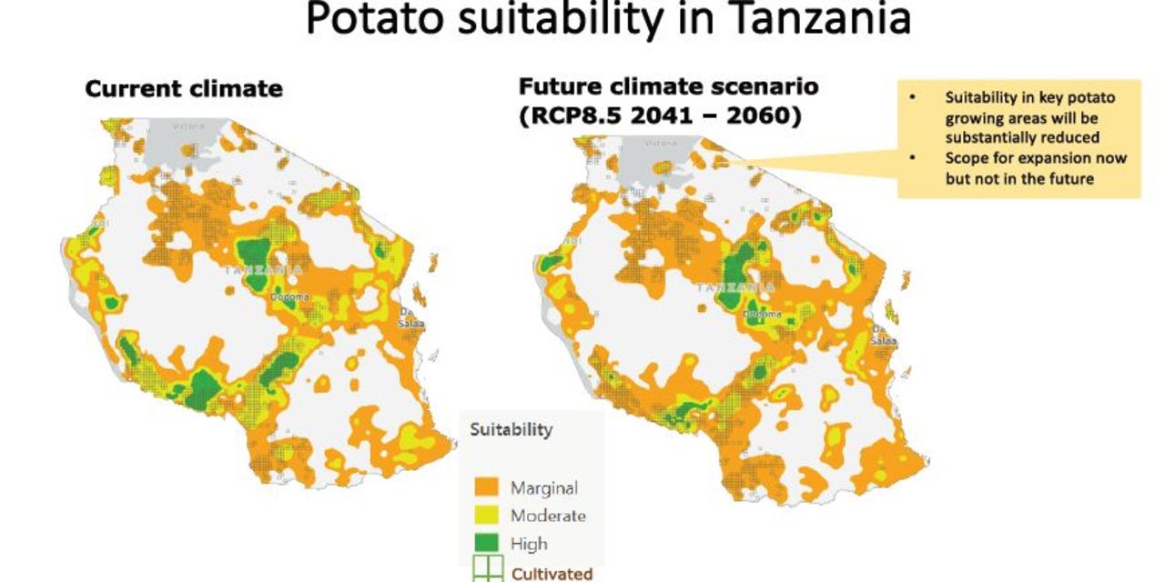 Transforming agriculture sector in Tanzania through building climate ...