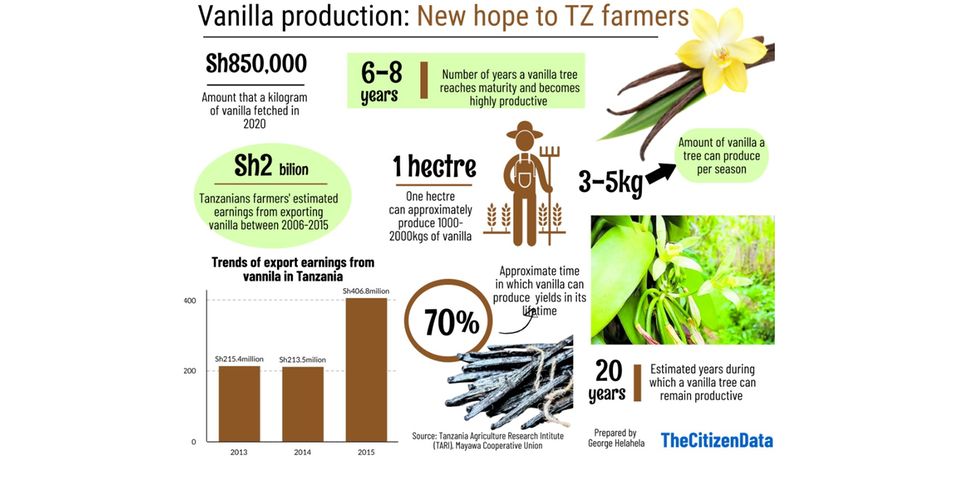 Untapped potential of vanilla farming | The Citizen
