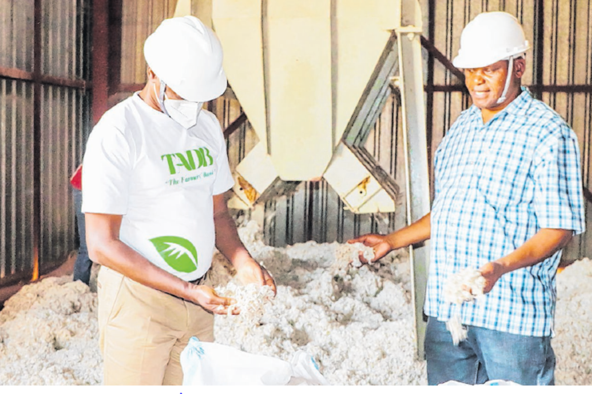 TADB financing restores cotton sector to its glory days | The Citizen