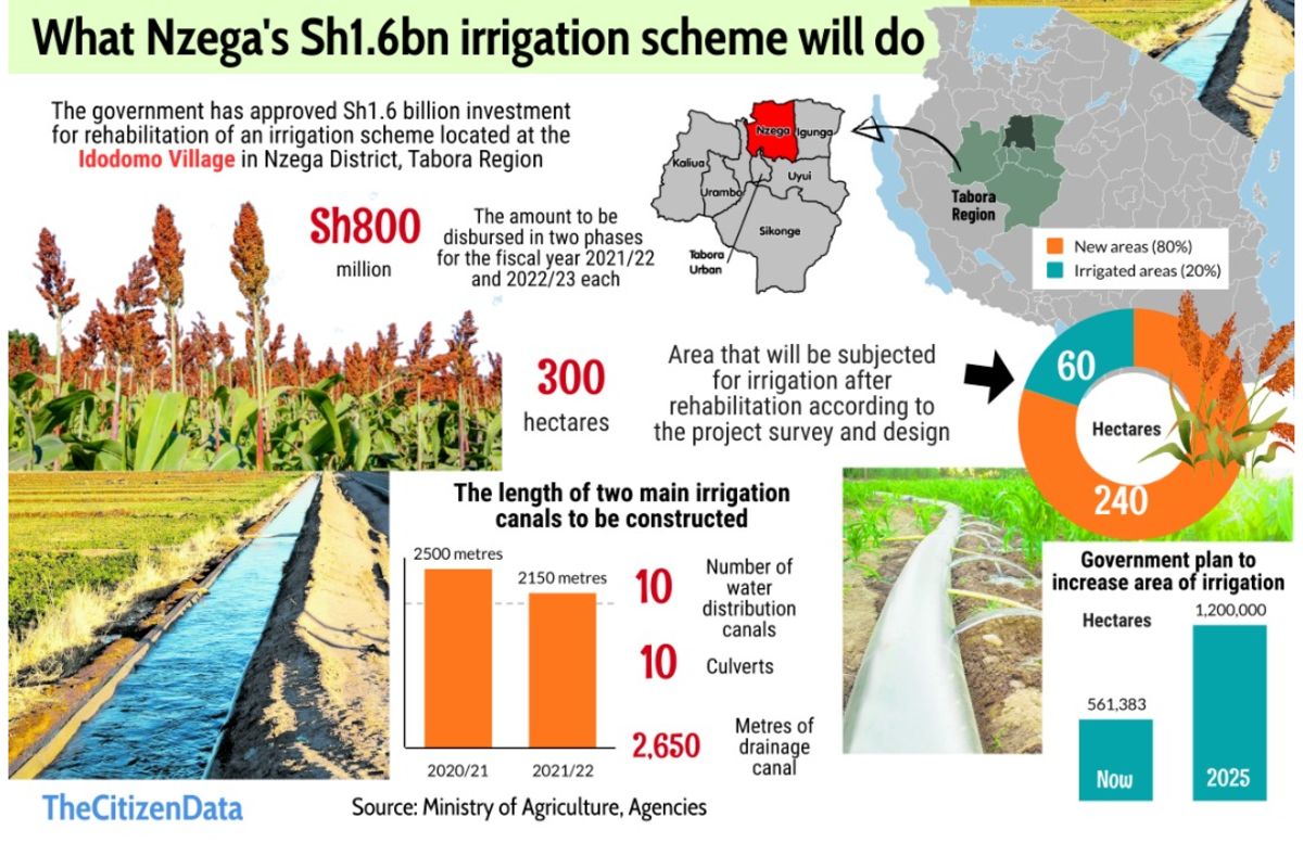 How Sh1.6 billion put in irrigation schemes will benefit farmers | The ...