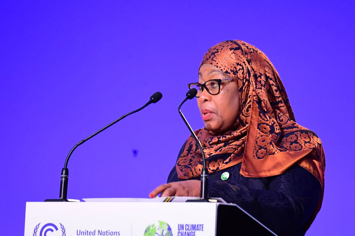 President Samia: Unlock financing to fight climate change effects | The ...