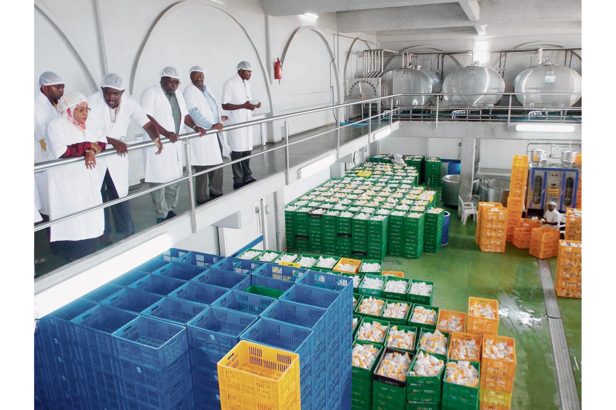 Small companies in Tanzania, S. Africa ‘missing out on agroprocessing ...