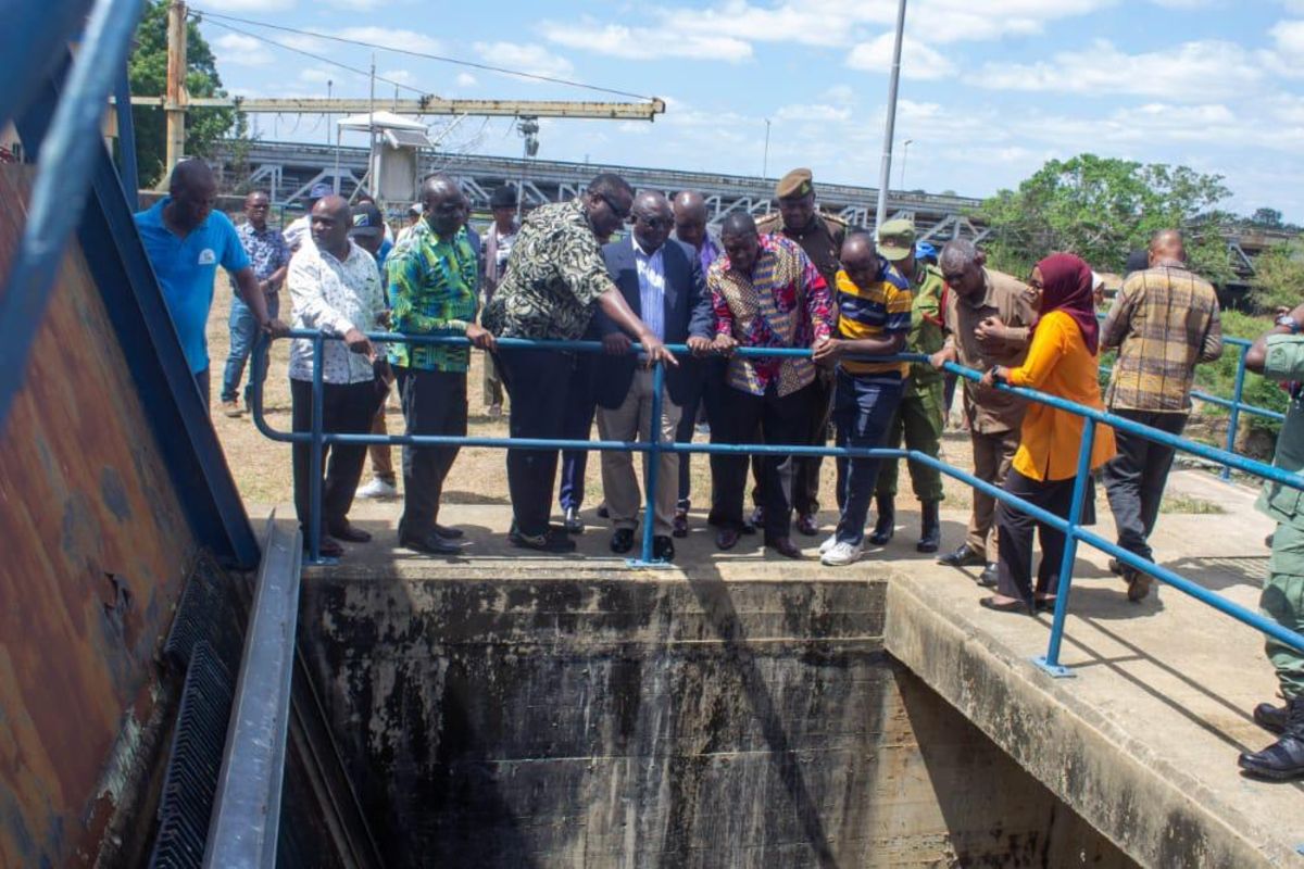 Water rationing to continue in Dar es Salaam | The Citizen