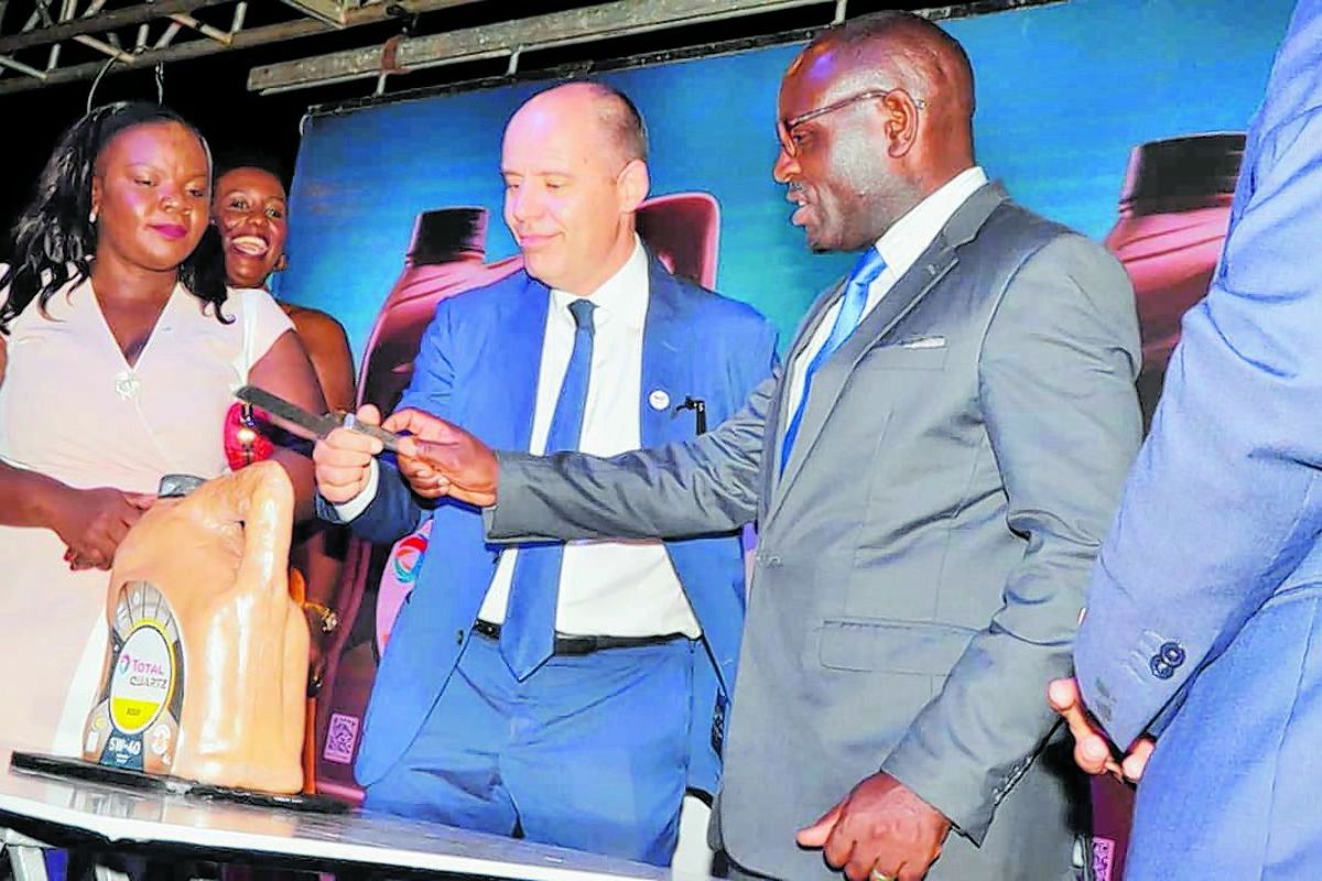 Total unveils clean energy plan in Tanzania | The Citizen