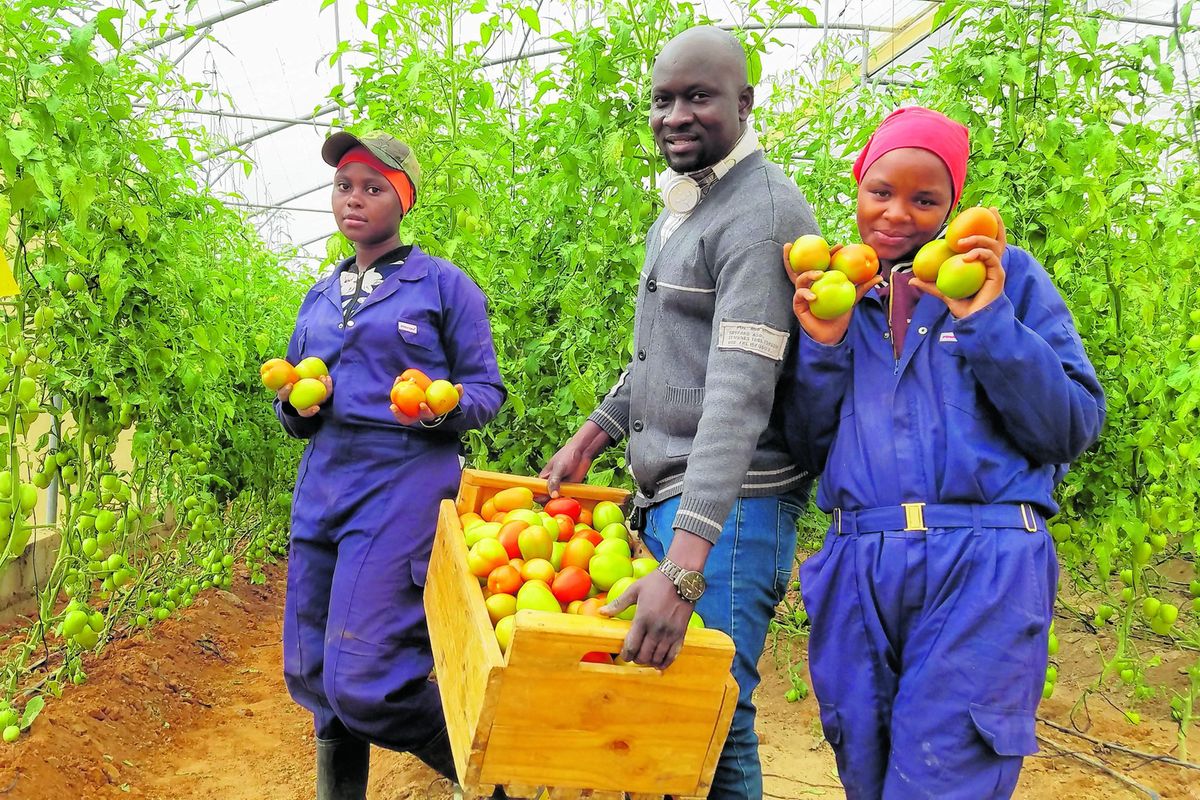 SMEs digest: ‘Young World Feeders’ on the path to success | The Citizen