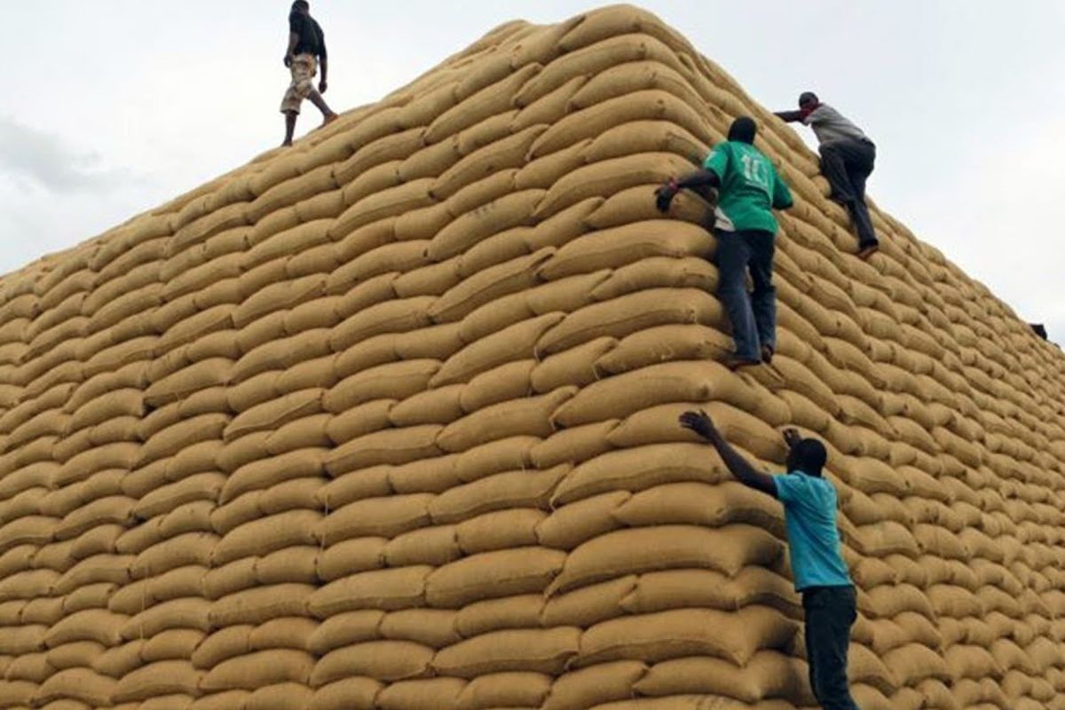 Tanzania records highest food reserve in eight years | The Citizen