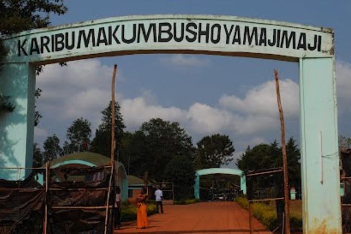 Ruvuma as a case study of lopsided varsity distribution | The Citizen