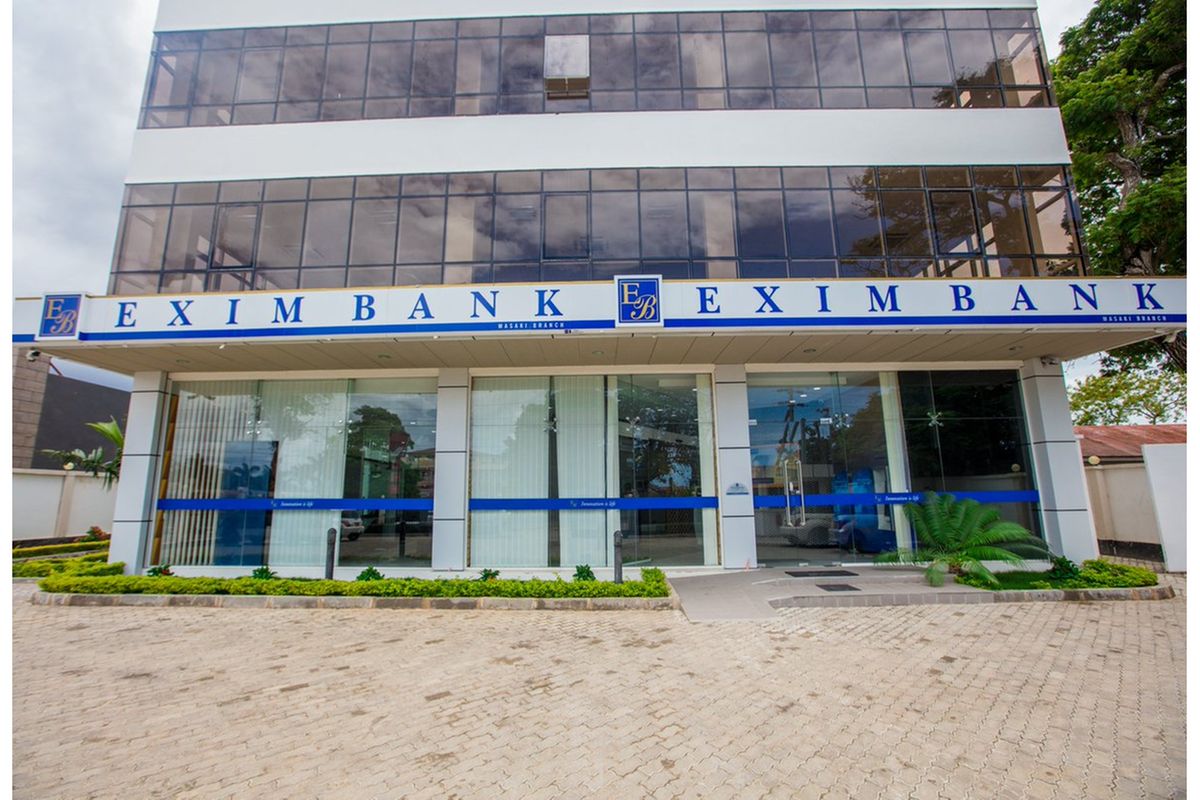 What Exim Bank buyout of FNB key assets means | The Citizen