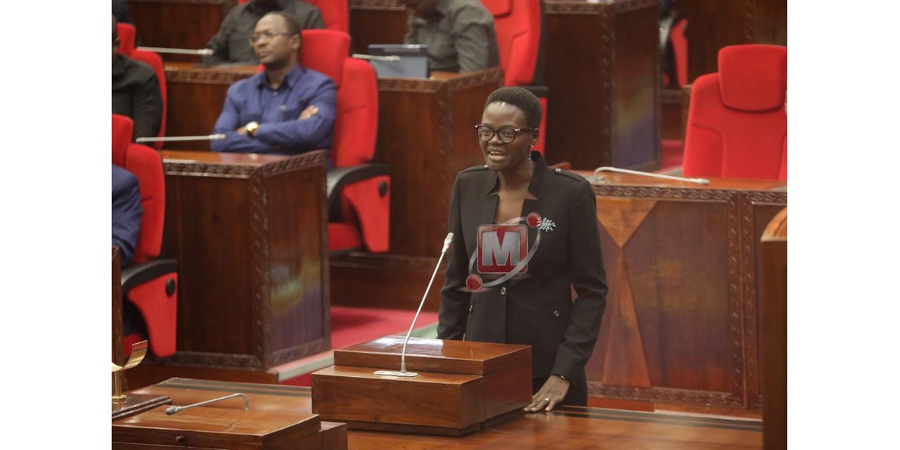 Tulia Ackson Mwansasu elected Speaker of Tanzania's Parliament | The ...