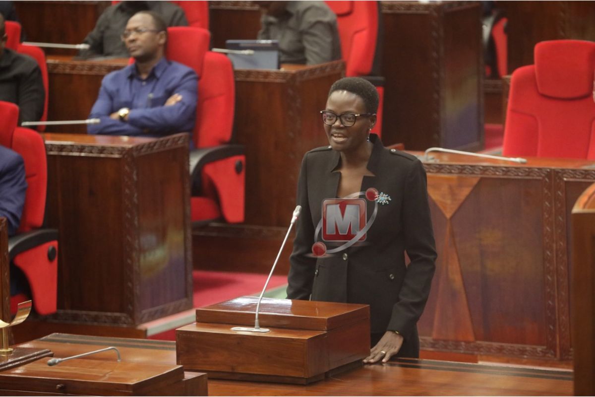 Dr Tulia Ackson elected Speaker of Tanzania's Parliament | The Citizen