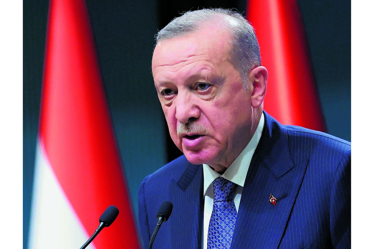 Erdogan eyes Ukraine summit with Putin on Kyiv visit | The Citizen
