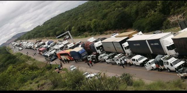 Zimbabwe reopens borders after a year | The Citizen