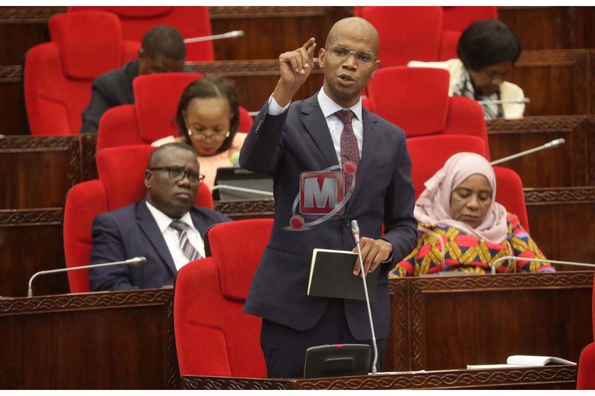 Makamba: Electricity supply will improve | The Citizen