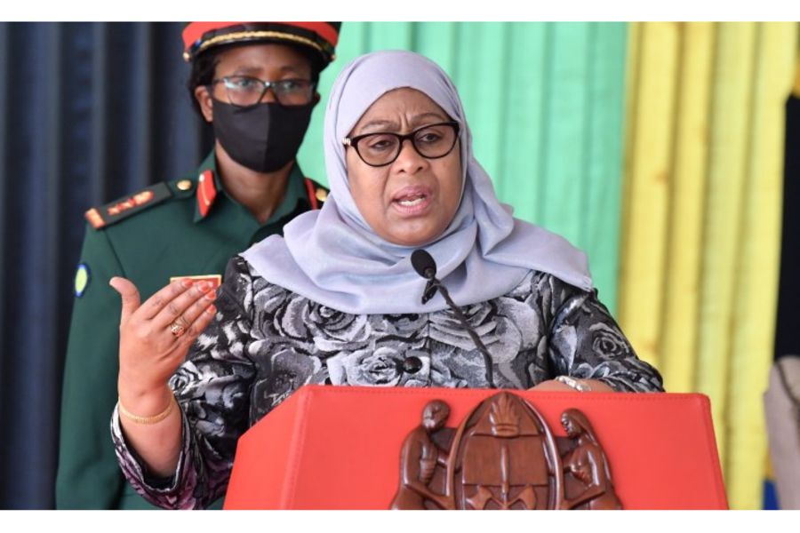 Samia in Mozambique to strengthen economic ties | The Citizen