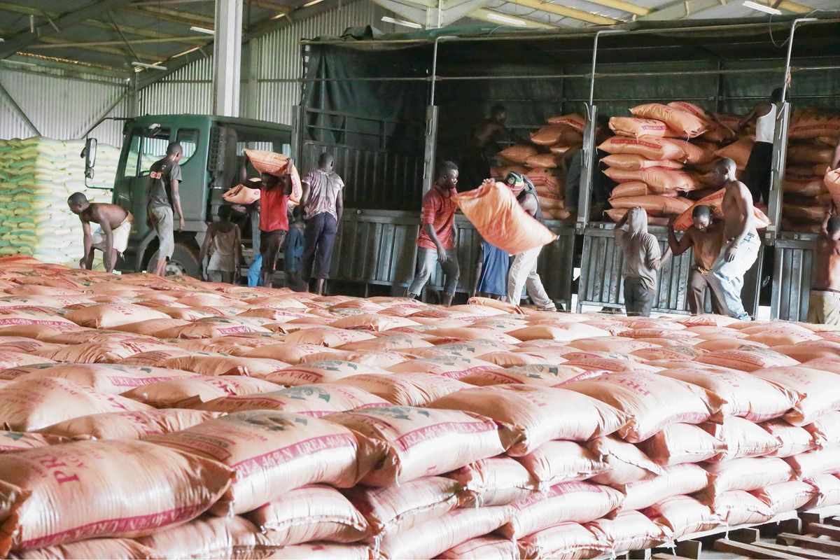 Tanzania to increase fertilizer uptake to 500,000 tonnes | The Citizen