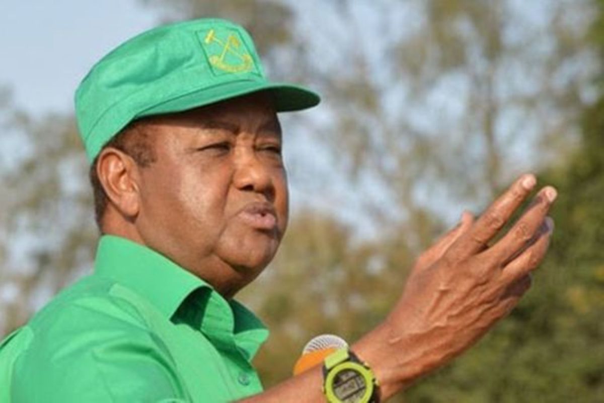 Kinana set to take over as CCM vice chairperson | The Citizen