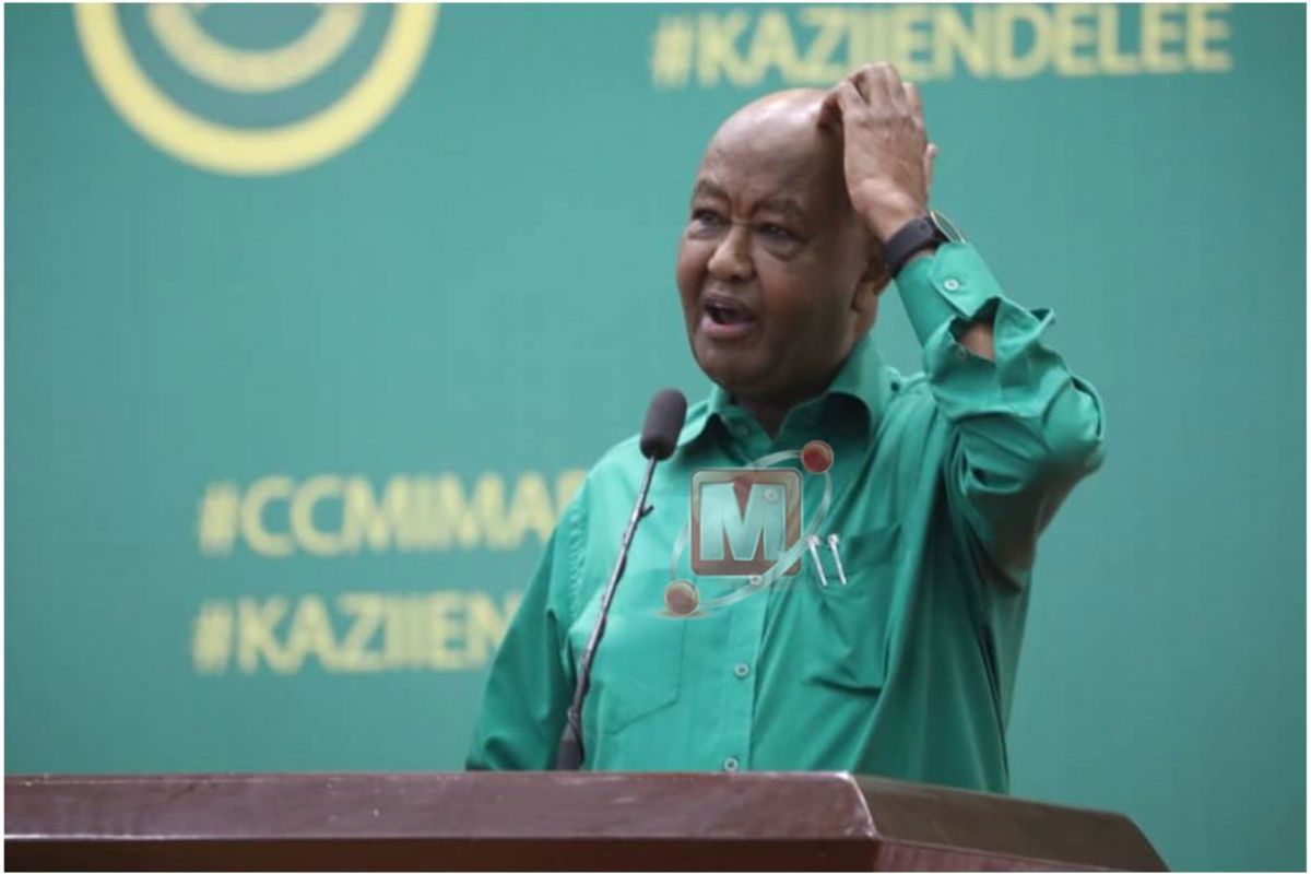 CCM endorses Kinana as party deputy chairperson (Mainland) | The Citizen