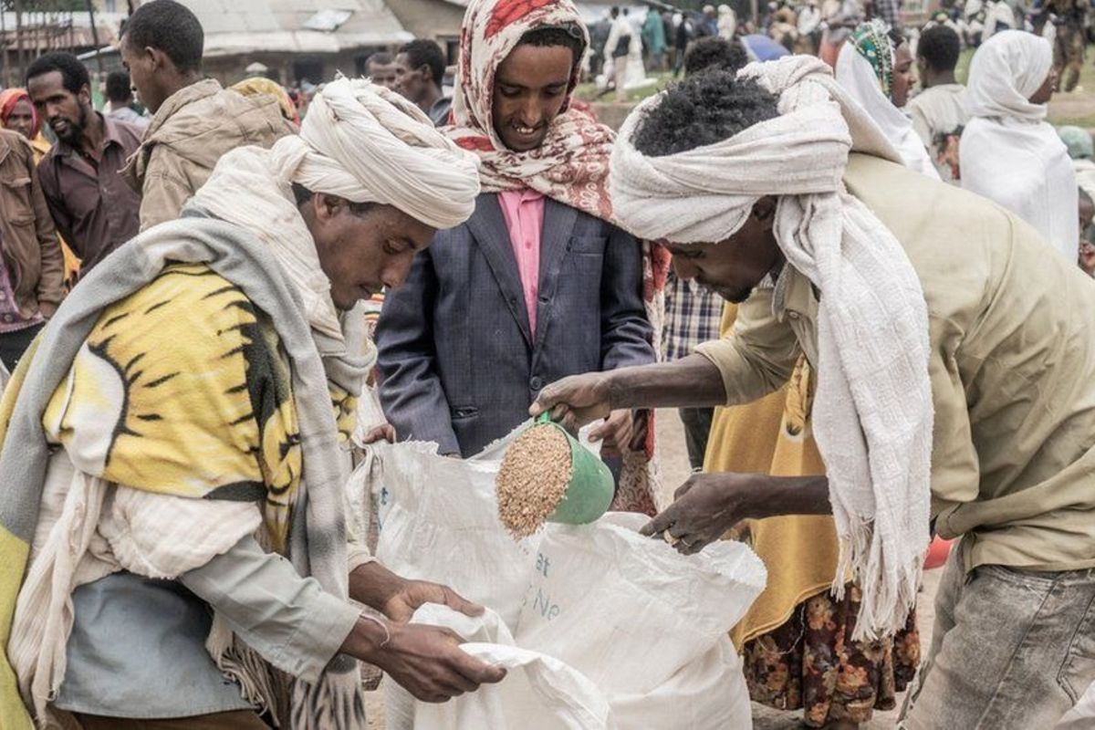 20 million people at risk of hunger in Horn of Africa | The Citizen