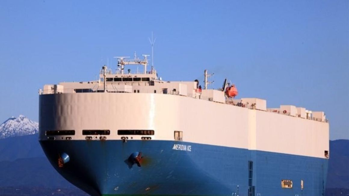 Another cargo ship sets new record at Dar es Salaam Port - The Citizen
