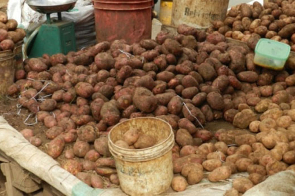 New platform deemed a boon for potato farmers | The Citizen